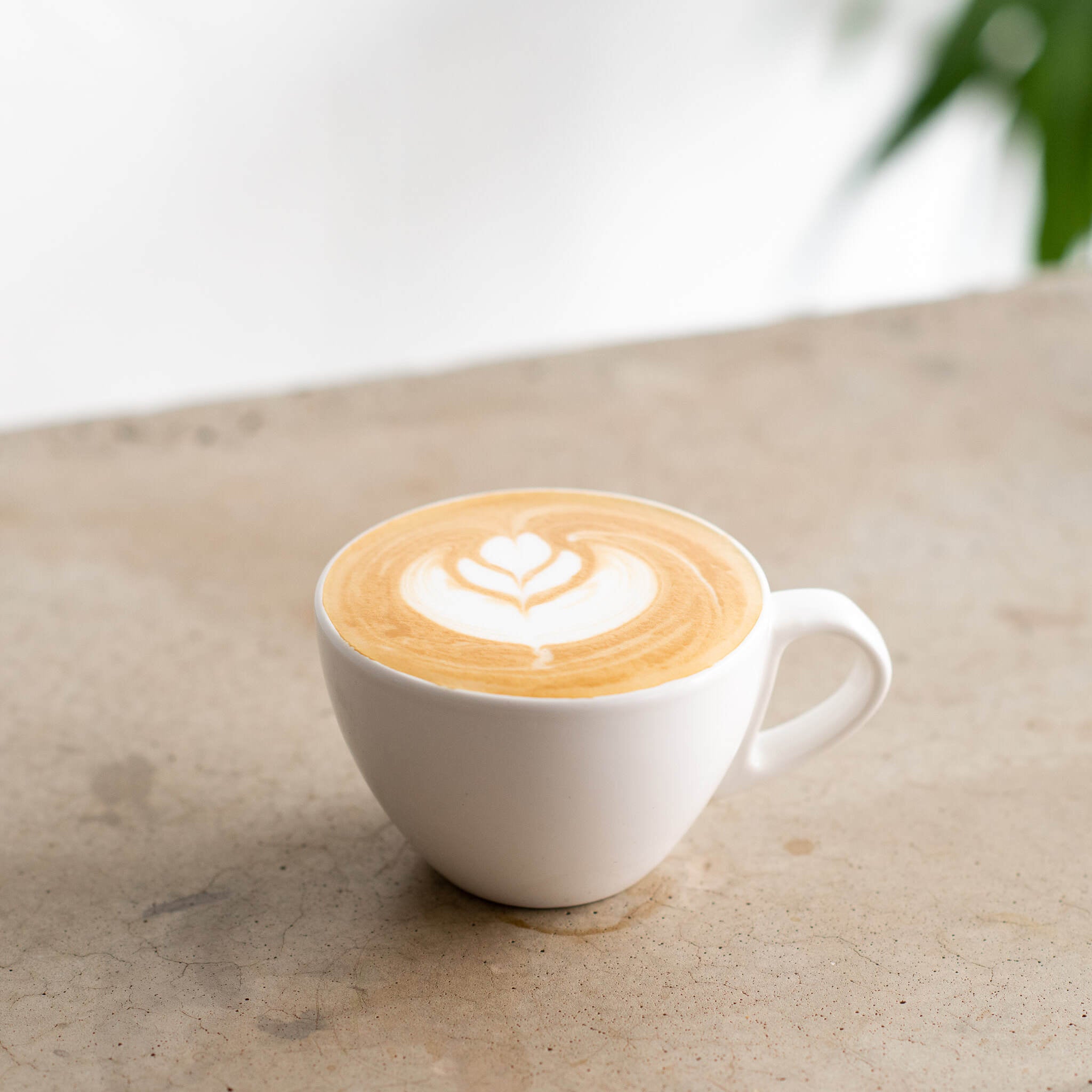 Cappuccino | Southdown Coffee